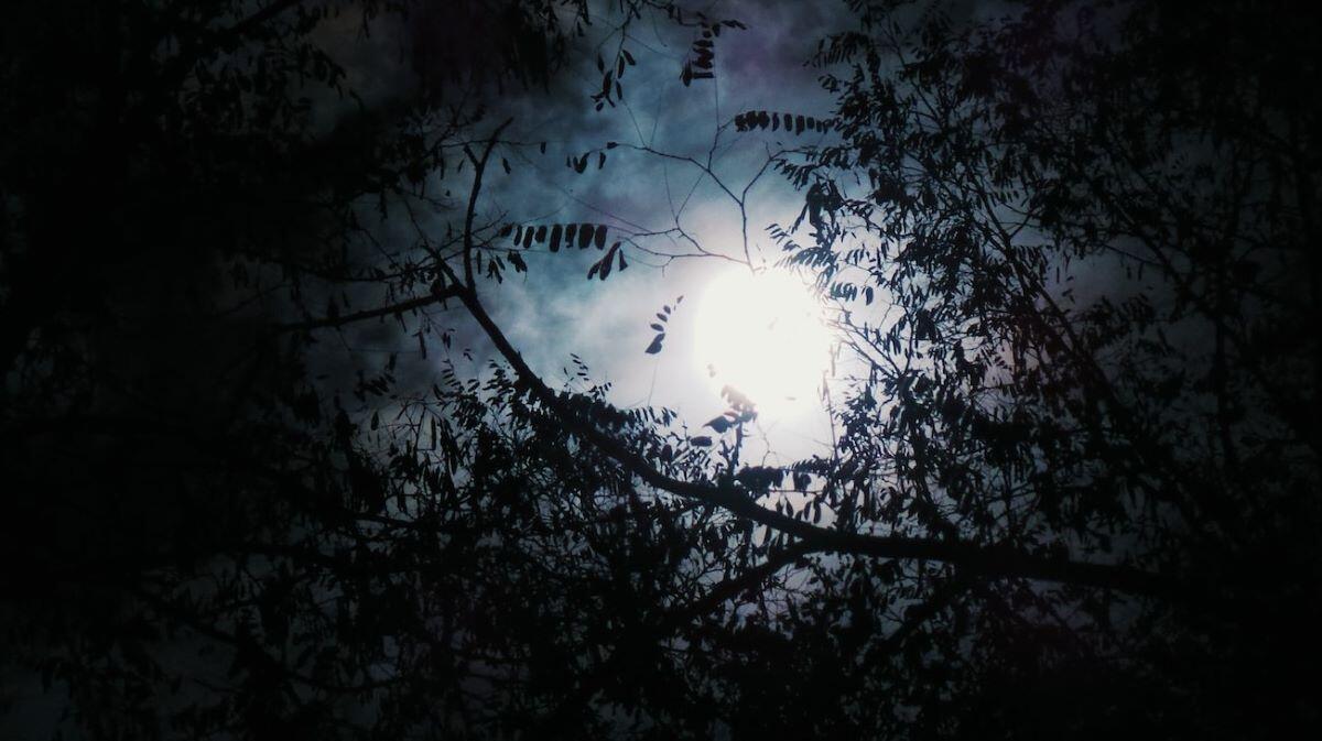 The journey - Mary Oliver - Mindfulness Association