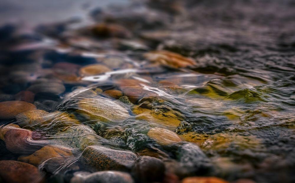 The real work - Wendell Berry - Mindfulness Association