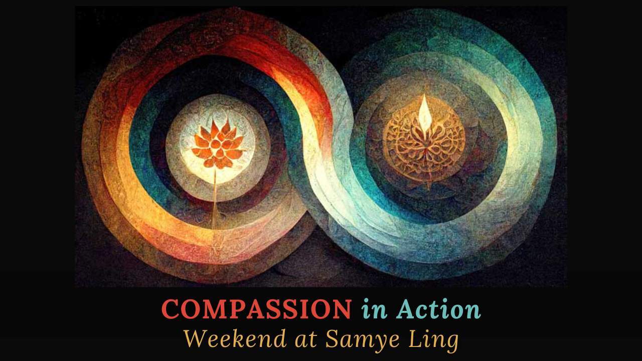 Compassion in Action - Mindfulness Association