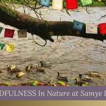 The bright field - R.S. Thomas - Mindfulness Association