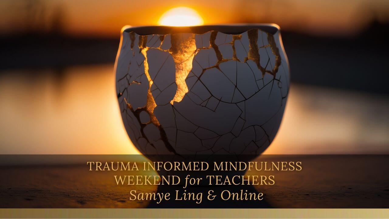 Trauma Informed Mindfulness for Teachers - Mindfulness Association