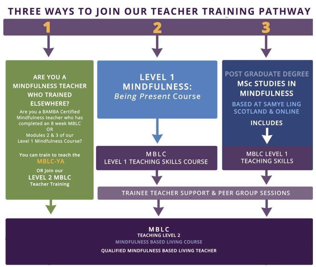 Mindfulness Teacher Training Courses - Mindfulness Association