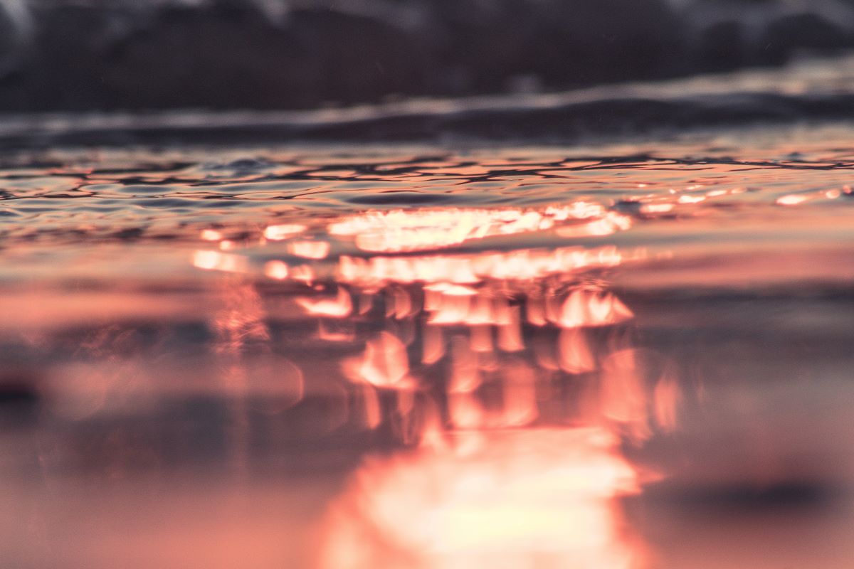 What You Missed That Day You Were Absent from Fourth Grade - Brad Aaron ...