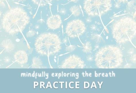 Mindfulness Association - UK & Online Courses - Compassion Based